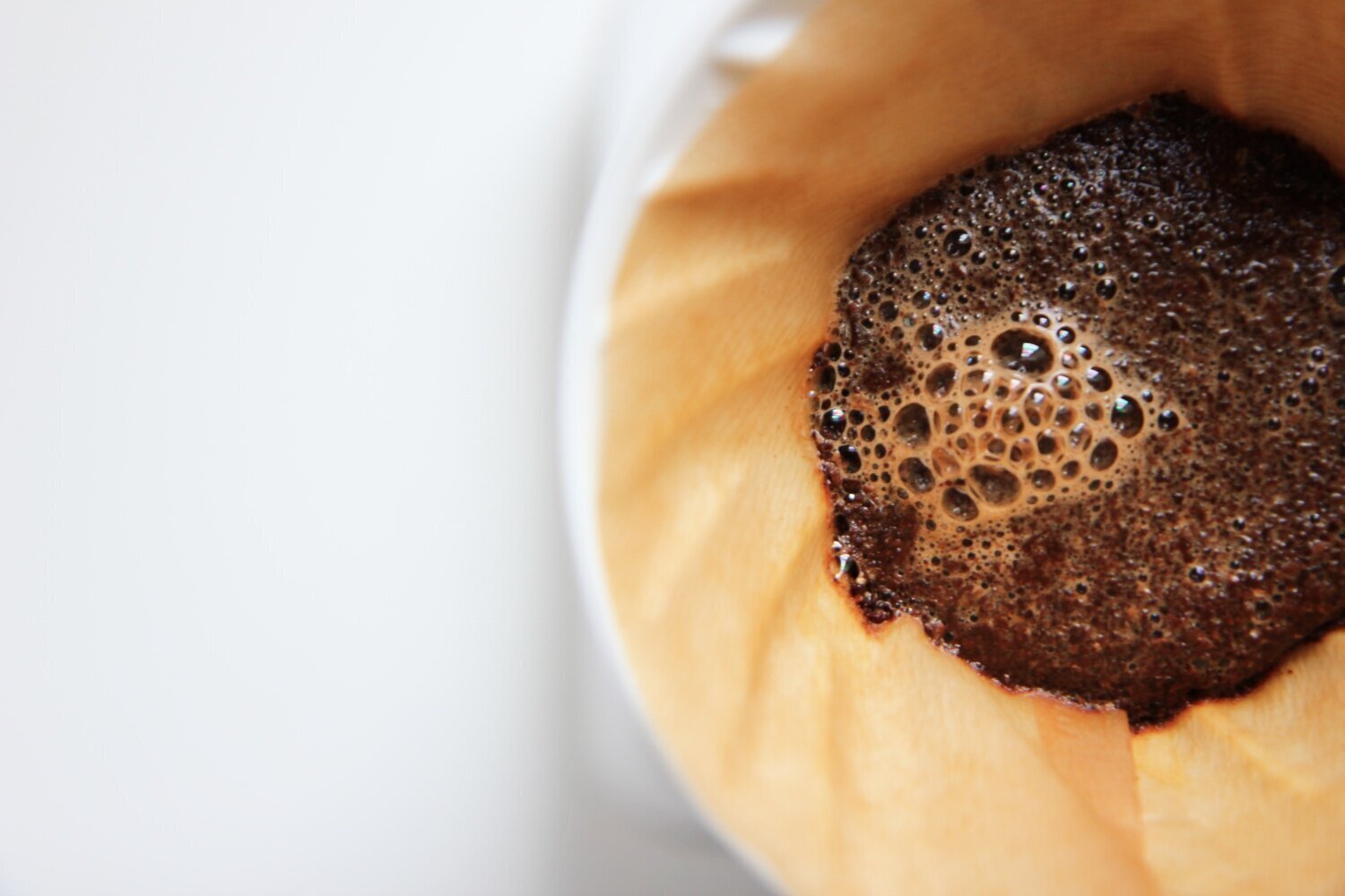 Driftaway Limited x Luis Alberto Baladerez: Washed Process - Driftaway Coffee