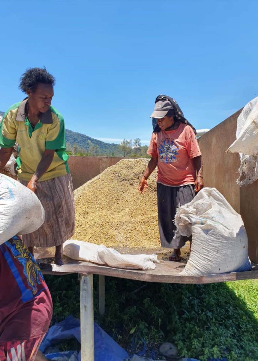 PHR | PNG Mt. Hagen Roteps Washing Station - Driftaway Coffee