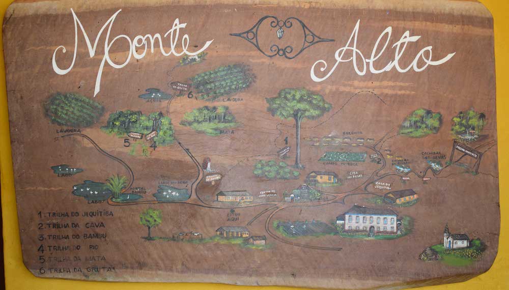 BMA | Brazil Monte Alto - Driftaway Coffee