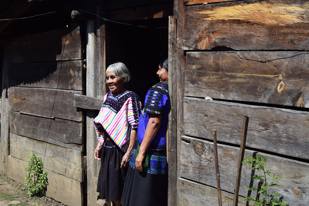 MTT | Mexico Chiapas Tzeltal Tzotzi - Driftaway Coffee