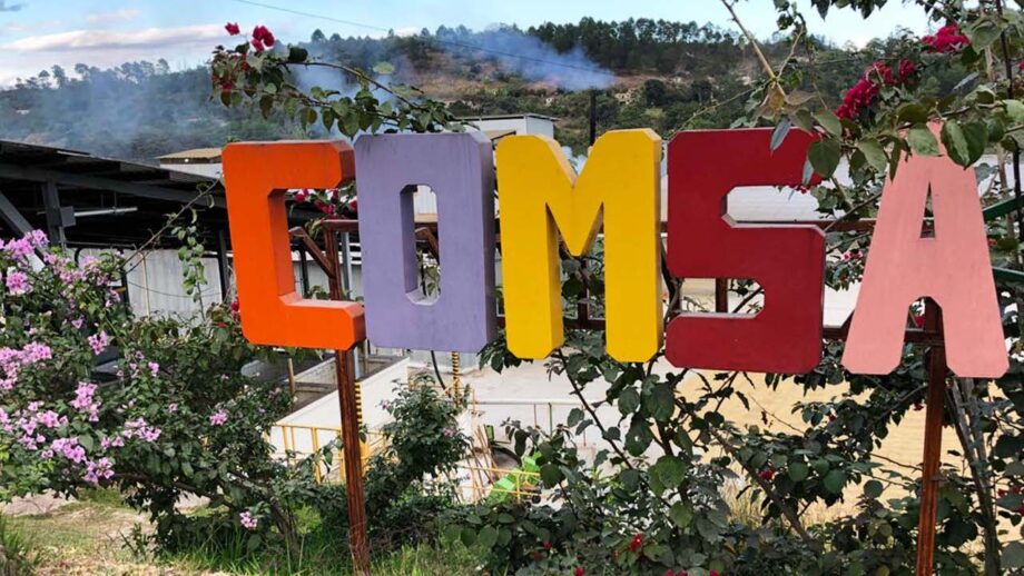 HMC | Honduras Marcala COMSA Co-op - Driftaway Coffee