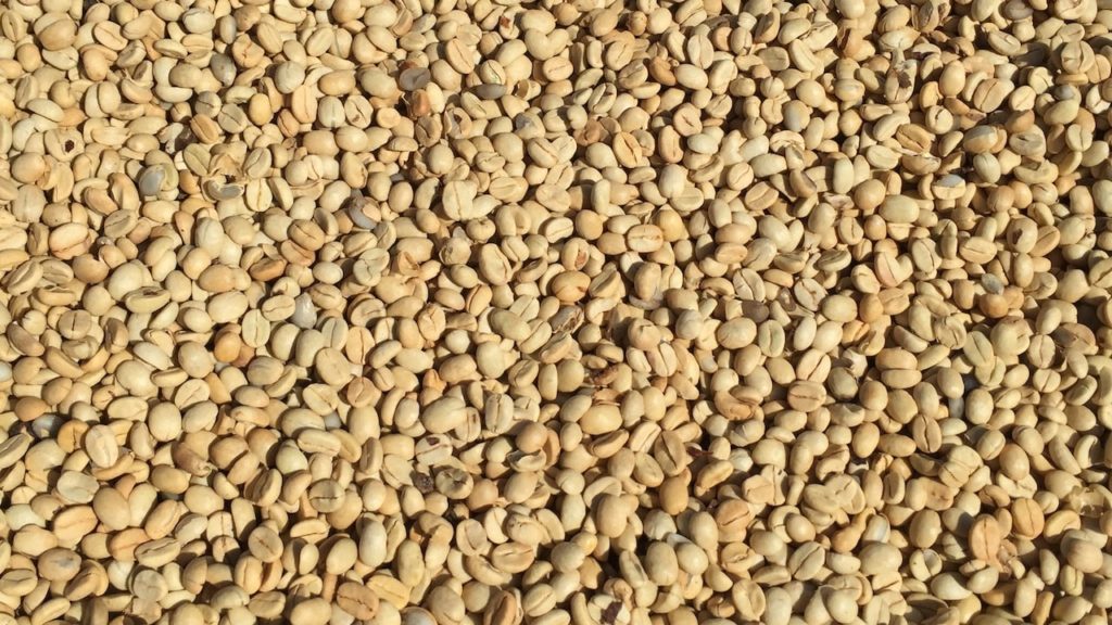 RNC | Rwanda Nyamagabe Ibisi Mountain - Driftaway Coffee