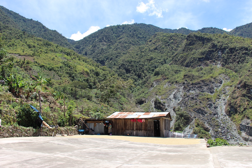 PTJ | Peru Cusco Siete Tinajas - Driftaway Coffee