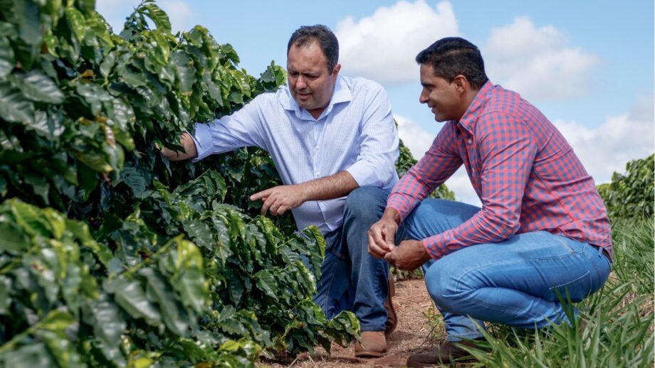 BMC | Brazil Marcelo Assis Natural - Driftaway Coffee