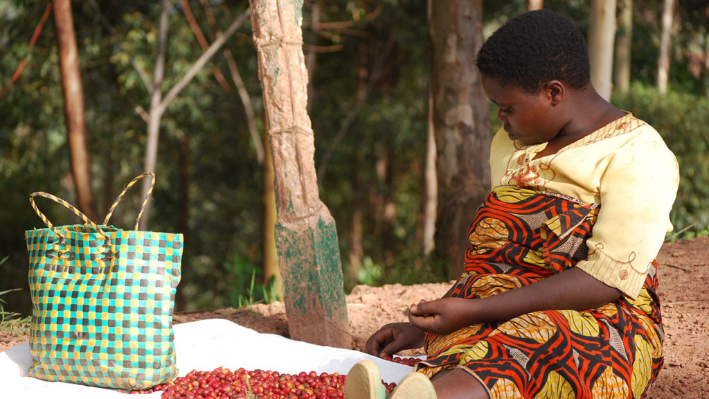 RKN | Rwanda Kinini Village Natural - Driftaway Coffee