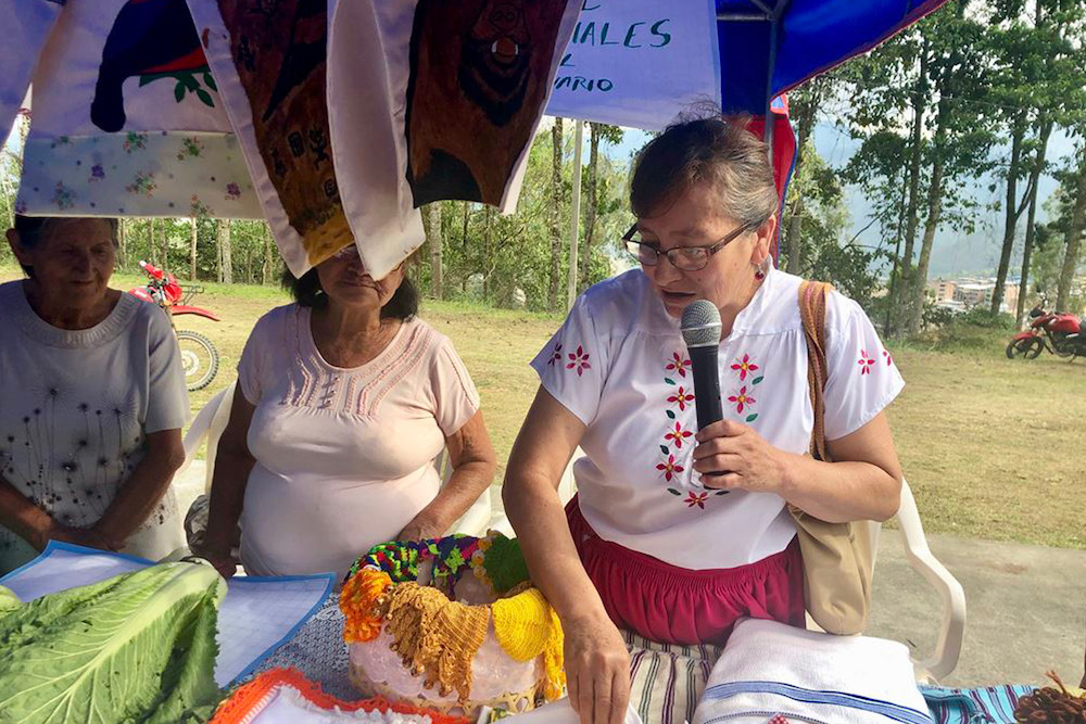 PDI | Peru Damas de San Ignacio - Driftaway Coffee