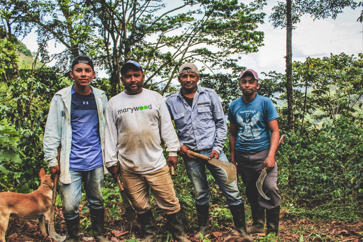 HVC | Honduras Santa Barbara San Vicente - Driftaway Coffee