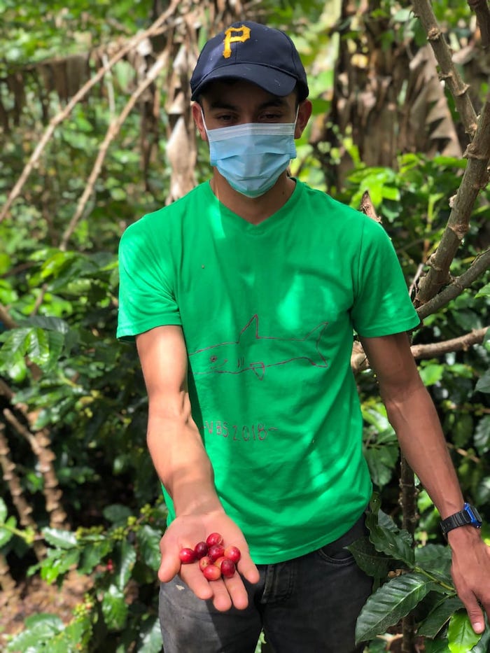 Regenerative Organic Nicaragua SACACLÍ Cooperative - Driftaway Coffee