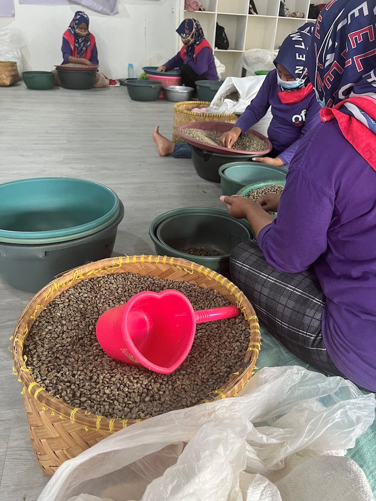 Java Naringgul & India Tankside - Driftaway Coffee